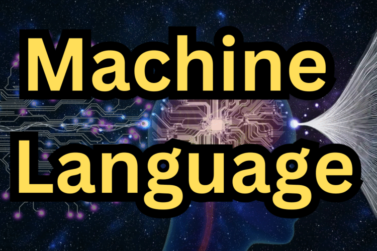 Computer Engineering 2024